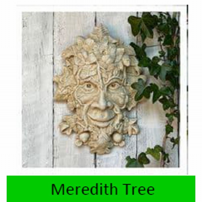 Meredith Tree 28cm x 25cm | Monkton Elm Garden Centre | Taunton